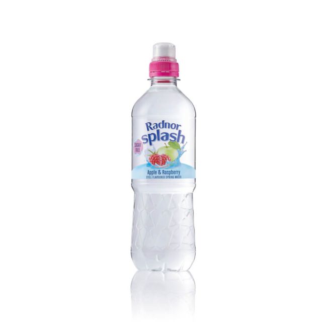 Radnor Hills Apple Raspberry Water 500ml (Pack 24) | Printer Base