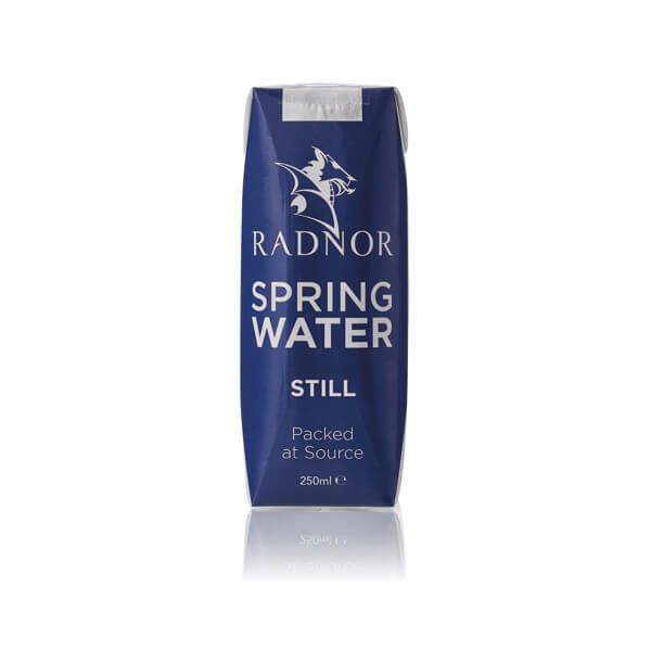 Radnor Still Spring Water 250ml Tetra Pak (Pack of 24) 0201025 ...